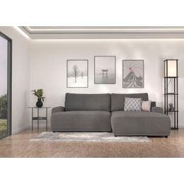 Ecksofa Trendmanufaktur "Fordon, Schlafsofa mit Bettkasten, Couch in L-Form, Breite 250 cm", grau (anthrazit), B:250cm H:82cm T:167cm, 100% Polyester, Sofas, Ecksofa, in Struktur fein LEO, haustierfreundlich, anthrazit, Recamiere rechts