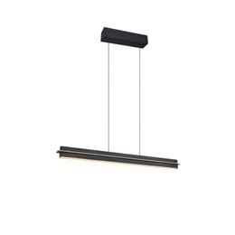 Trio Pendelleuchte LED EMERSON