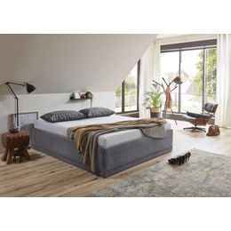 Polsterbett "Texel", grau (anthrazit), B:206cm H:34cm L:206cm, Bezug Bett: Veloursstoff 100% Polyester oder Microfaser (100% Polyester);Bonnell-Federkernmatratze: 51% Polypropylen, 39% Polyester und 10% Baumwolle;Kaltschaummatratze: 100% Polyester, Bezug abnehm- und waschbar bis 60C;Kissenbezug: 100% Polyester, Füllung : 100% Polyester (Hohlfaser), Westfalia Schlafkomfort, Betten, Standardhöhe mit