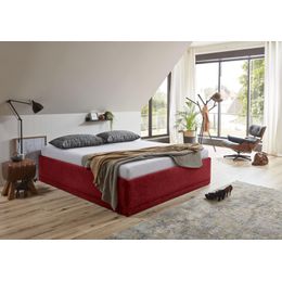 Polsterbett "Texel", rot (bordeaux, rot), B:206cm H:34cm L:206cm, Bezug Bett: Veloursstoff 100% Polyester oder Microfaser (100% Polyester);Bonnell-Federkernmatratze: 51% Polypropylen, 39% Polyester und 10% Baumwolle;Kaltschaummatratze: 100% Polyester, Bezug abnehm- und waschbar bis 60C;Kissenbezug: 100% Polyester, Füllung : 100% Polyester (Hohlfaser), Westfalia Schlafkomfort, Betten, Standardhöhe 