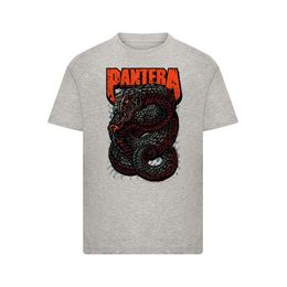 F4NT4STIC T-Shirt 'Pantera Venomous Snake' Jungen Gr&ouml;&szlig;e 146/152 graumeliert / dunkelorange / schwarz