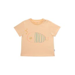KNOT T-Shirt 'Harlequin Tuskfish' Jungen Gr&ouml;&szlig;e 68 jade / apricot