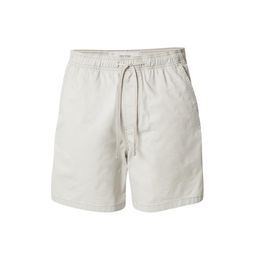 Hollister Shorts 'MOONSTRUCK' Herren Gr&ouml;&szlig;e 35/36 hellgrau