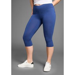 Kangaroos Damen 3/4-Hose, blau, Gr. 50, Jersey, Obermaterial: 95% Baumwolle, 5% Elasthan, Hosen, Große Größen