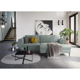 Ecksofa DOMO collection, B:244cm H:83cm T:173cm, blau, Wohnzimmer, Sofas, "Modica kompakt und elegant, Breite 244, L-Form", moderne Optik mit