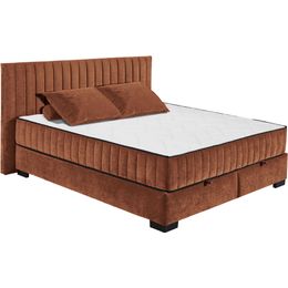 Boxbett, B:205cm L:214cm, braun, ED EXCITING DESIGN, 100% Polyester, Komplettbetten, "Nagol", mit Bettkasten, mit Wendematratze, erh&auml;ltlich in