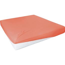 Spannbettlaken Primera, rot, Jersey-Elasthan, Obermaterial: 95% Baumwolle, 5% Elasthan, Bettlaken, "Elasthan-Feinjersey", PREMIUM, aus 95% gek&auml;mmter