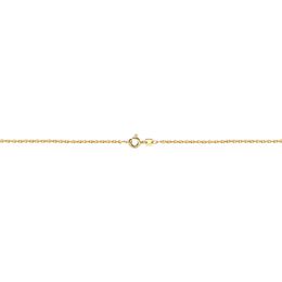 Firetti Damen Fußkette "Schmuck Geschenk Gold 333 585 Körperschmuck Singapurkette diamantiert", 25, Gelbgold 585, gold, Gelbgold 585, Fußketten, Made