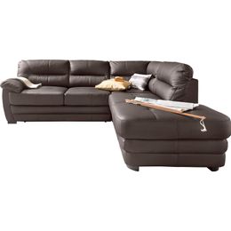 Ecksofa COTTA, B:250cm H:88cm T:234cm, braun, Luxus-Kunstleder, frei im Raum stellbar;Luxus-Microfaser (100% Polyester), frei im Raum