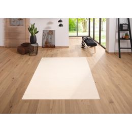 Wollteppich my home, B:250cm H:24mm L:300cm, beige, Wolle, Teppiche, "Malia", reine Wolle, echter Berber-Teppich, handgekn&uuml;pft