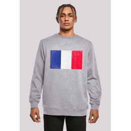 F4NT4STIC Damen Kapuzenpullover "France Frankreich Flagge distressed", grau, Gr. L, Obermaterial: 50% Baumwolle, 50% Polyester, Pullover, Print