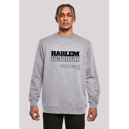 F4NT4STIC Damen Kapuzenpullover "Harlem CREW", grau, Gr. XXL, Obermaterial: 50% Baumwolle, 50% Polyester, Pullover, Print