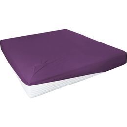 Spannbettlaken Primera, lila, Jersey-Elasthan, Obermaterial: 95% Baumwolle, 5% Elasthan, Bettlaken, "Elasthan-Feinjersey", PREMIUM, aus 95% gek&auml;mmter