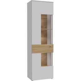 Vitrine FORTE, B:60,4cm H:203,3cm T:41,3cm, grau, Spanplatte, Schr&auml;nke, "Como", Vitrine, Glast&uuml;re, LED Beleuchtung, Soft Close Linksanschlag
