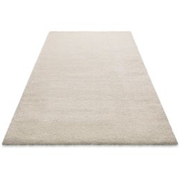 Hochflor-Teppich Wecon Home, B:120cm H:35mm L:170cm, beige, Polypropylen (PP), Teppiche, "STUDIO zero", weicher und kuscheliger Flor, Wohnzimmer,