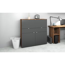 borchardt M&ouml;bel Sekret&auml;r BORCHARDT M&Ouml;BEL, B:110cm H:109cm T:35cm, grau, Sekret&auml;re, "Dolly", platzsparend, Home-Office-Schreibtisch, Breite 110 cm, Made in Germany