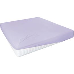 Spannbettlaken Primera, lila, Jersey-Elasthan, Obermaterial: 95% Baumwolle, 5% Elasthan, Bettlaken, "Elasthan-Feinjersey", PREMIUM, aus 95% gek&auml;mmter