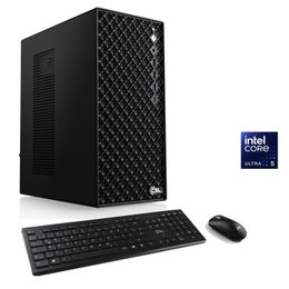 CSL Gaming-PC "Mystic V24025", Microsoft Windows 11 Home (64 Bit), 32 GB RAM 1.000 GB SSD, schwarz, Desktop-PCs