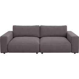 Big-Sofa Musterring, B:252cm H:81cm T:124cm, braun, Flachgewebe FLORIS (100% Polyester);Flachgewebe VALMONT (60% Baumwolle/ 40% Leinen);Microfaser