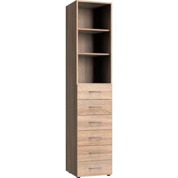 Standregal wimex, B:40cm H:185cm T:40cm, braun, Holzwerkstoff, Spanplatte, Wohnzimmer, Regale, "Multiraumkonzept", planbar und erweiterbar