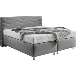 Boxspringbett, B:215cm L:210cm, grau, Westfalia Schlafkomfort, Bezug Bett: Microvelours (100% Polyester) oder Feinstruktur (100% Polyester);Bezug