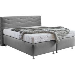 Boxspringbett, B:195cm L:210cm, grau, Westfalia Schlafkomfort, Bezug Bett: Microvelours (100% Polyester) oder Feinstruktur (100% Polyester);Bezug