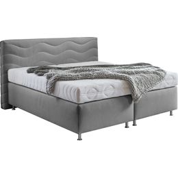 Boxspringbett, B:215cm L:210cm, grau, Westfalia Schlafkomfort, Bezug Bett: Microvelours (100% Polyester) oder Feinstruktur (100% Polyester);Bezug