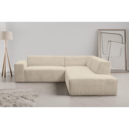Ecksofa WERK2, B:251cm H:70cm T:262cm, beige, 90% Polyester, 10% Nylon, Wohnzimmer, Sofas, "Zeus-M, tolles Sofa mit schönen Details, L-Form", Curvy