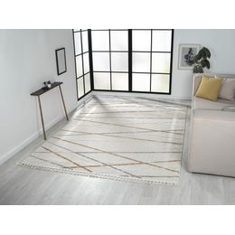 Teppich, B:200cm H:10mm L:290cm, beige, MyFlair M&Ouml;BEL & ACCESSOIRES, Polyester, Wohnzimmer, Teppiche, "Luana 1, LAGERR&Auml;UMUNG", Kurzflor, Sisal Optik,