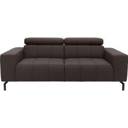 2-Sitzer DOMO collection, B:208cm H:79cm T:104cm, braun, Echtleder, Sofas, "Cunelli zeitlos und elegant, moderne Sitzn&auml;hte als Designelement",