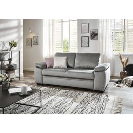 Schlafsofa DIE PLANBAR "MP-PD19021", grau (alu), B:196cm H:90cm T:100cm, 100% Polyester, Sofas, Schlafsofa, mit L&auml;ngsschl&auml;ferfunktion 140x210 cm
