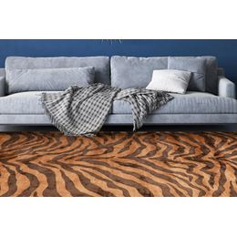 Teppich Padiro "Sinai 125", braun (braun, dunkelbraun), B:120cm H:11mm L:170cm, Viskose, Teppiche, Viskose