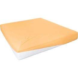 Spannbettlaken Primera, gelb, Jersey-Elasthan, Obermaterial: 95% Baumwolle, 5% Elasthan, Bettlaken, "Elasthan-Feinjersey", PREMIUM, aus 95% gek&auml;mmter