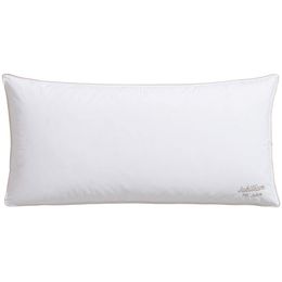 Gänsefederkopfkissen QUEENS TEXTILES "Jubiläum", weiß, B:40cm L:80cm, Bezug: 100% Baumwolle. Füllung: 70% Gänsefeder, 30% Gänsedaunen, Kopfkissen