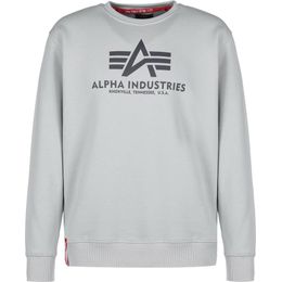 Alpha Industries Sweatshirt male Grey size XXXL
