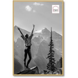 Haes Kunststoffrahmen EF9G Easy Frame 40x60cm gold