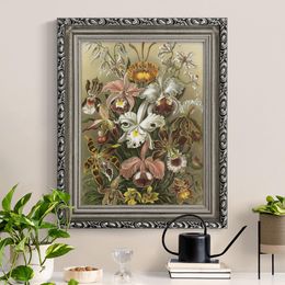 Gerahmtes Leinwandbild Vintage Lehrtafel Orchidee