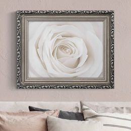 Gerahmtes Leinwandbild Pretty White Rose