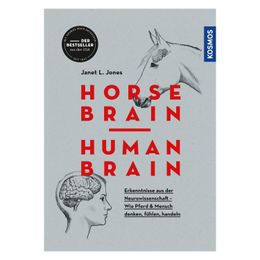 Kosmos Horse Brain- Human Brain