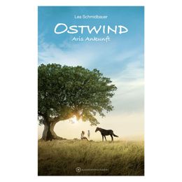 Ostwind - Band 5
