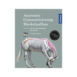Kosmos Anatomie, Gymnastizierung, Muskelaufbau