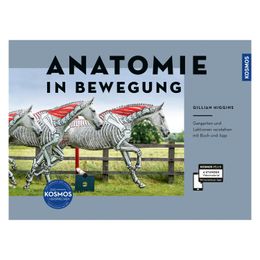 Kosmos Anatomie in Bewegung - Gangarten und Lektionen verstehen