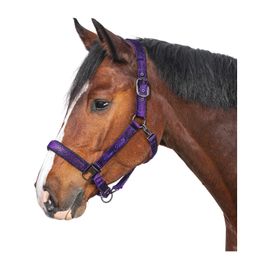 Horse-friends Halfter Athina lila WB