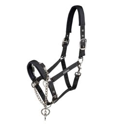Waldhausen Halfter Pro Safety schwarz VB
