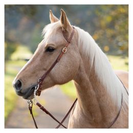 Passion 4Q Einohr-Westerntrense braun Full
