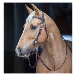 Passion 4Q Westerntrense braun Cob