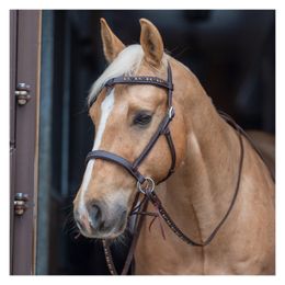 Passion 4Q Sidepull braun Pony