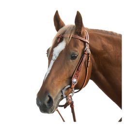 L-pro West Westerntrense braun Pony