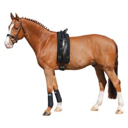 Loesdau Voltigiergurt aus Synthetikleder schwarz Pony