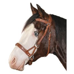 L-pro West Sidepull mit Nieten und Glitzersteinen braun VB
